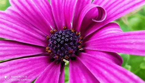 Best Phones Under Top List Unlocked Phones On Budget