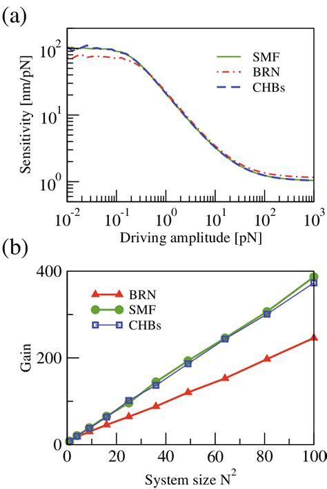 Nonlinear Response Of The Coupled System To A Periodic Stimulus At The Download Scientific
