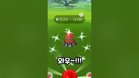 디그다 이로치 썬텐 한번 지대루 했고만~ㅎ쏘세지처럼 생긴것 같기도 하고ㅎ 포켓몬고 포켓몬 이로치 산책 포고 Youtube