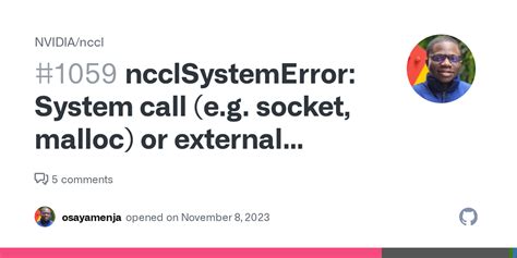Ncclsystemerror System Call Eg Socket Malloc Or External Library