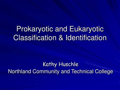 Ppt Prokaryotic And Eukaryotic Classification And Identification