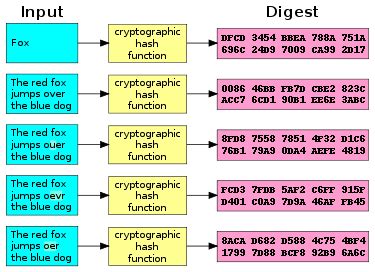 Digital Forensics Examiner Digital Forensics คาแฮช hash value