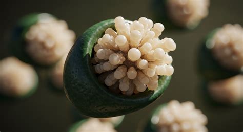 Spatial Heterogeneity Assessment → Term