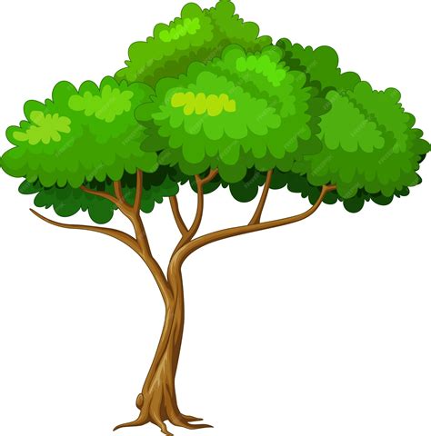 Premium Vector Green Tree