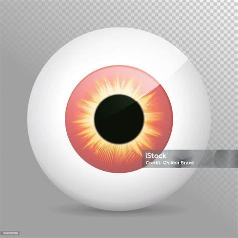 Eyeballyelloweye 레드 현실적인 3d 빨간 눈알 벡터 일러스트입니다 진짜 인간의 홍 채 눈동자와 눈 영역입니다 투명 한 바탕에 아이콘입니다 격리 된 매크로 색상