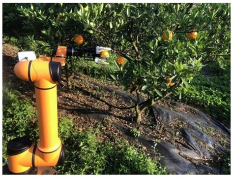 Monocular Pose Estimation Method For Automatic Citrus Harvesting Using Semantic Segmentation And