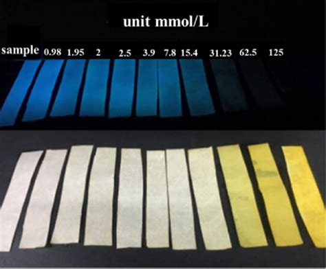 Paper Based Sensing Obtained From N S Bcds For The Detection Of