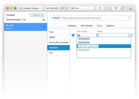 How Dynamic Values Work Rapidapi For Mac Documentation