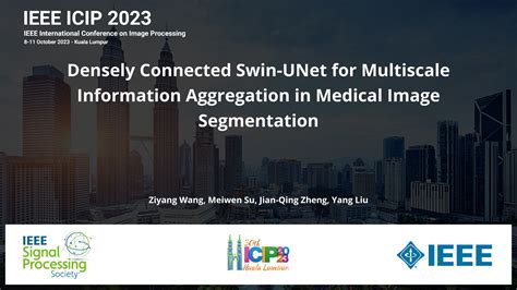 Densely Connected Swin Unet For Multiscale Information Aggregation In Medical Image Segmentation
