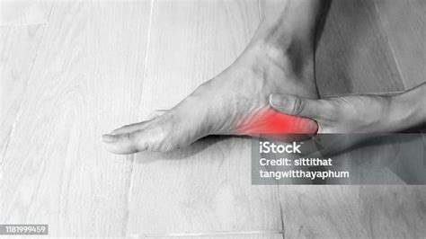 고통스러운 지역에 빨간 하이라이트와 발 해부학 발 뒤꿈치 통증은 근육 긴장에서 발생할 수 있습니다 건염 인대 염좌 관절염 뼈 골절 또는 발바닥 근막염 질환 의료 증상 개념