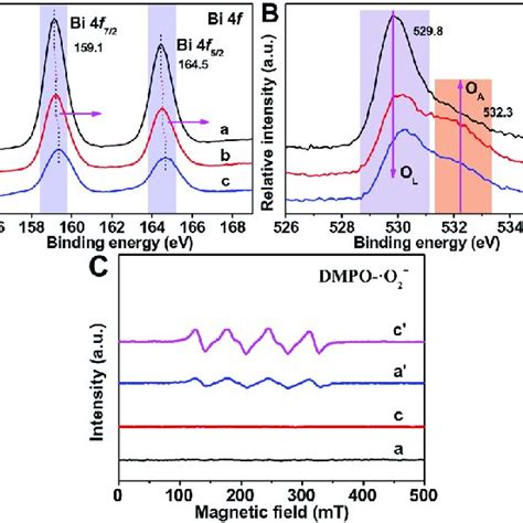 The High Resolution Xps Spectra Of A Bi 4f And B O 1s C Esr