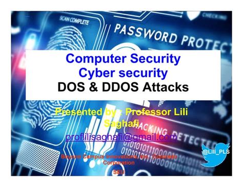 computer security cyber security dos ddos attacks by professor lili saghafi pdf