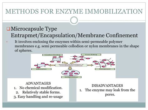 Immobilized Enzymes Immobilization Techniques Examples Biochemical