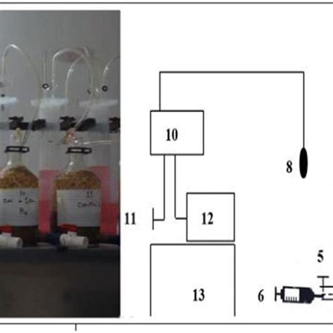 The Ftir Spectra Of The Effluent Affected By The Addition Of Different