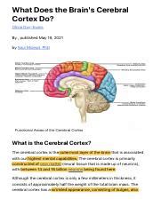 Cerebral Cortex Location Functions Simply Psychology Pdf What Does The Brain S Cerebral