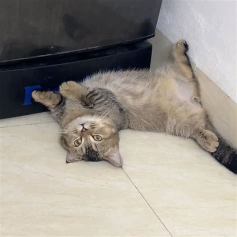 Ngọc Lan Nguyenngoclann • Threads Say More