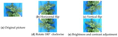 Patch Merging Operation Process Download Scientific Diagram