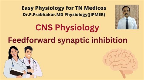 Feedforward Synaptic Inhibition Cns Youtube