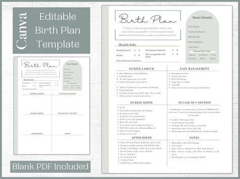Editable Birth Plan Template Printable Birthing Plan Labour And