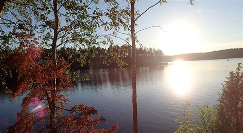 Novel Method For Tracking Freshwater Pollution Sources And Effects Prediction