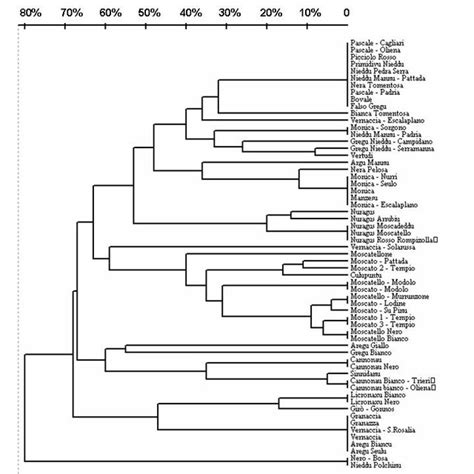 Dendrogram Based On The Dice Similarity Index Showing The Genetic