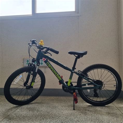 캐논데일 트레일 20인치 주니어 당근 중고거래