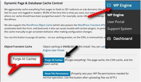How To Clear Your Cache In WordPress
