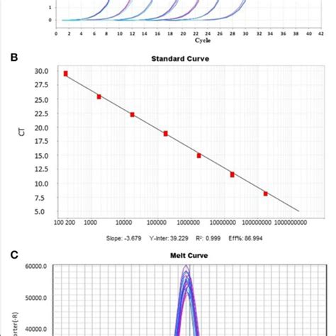 an amplification plot melting curve analysis and a standard curve