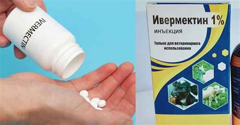 Дозировка и употреба на Ивермектин за прочистване от паразити Лечител Net