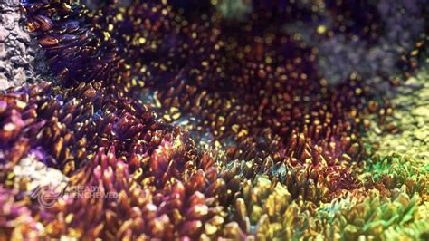 OCC Visuals Visual Geode Projection Mapping