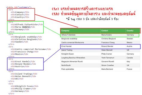 ภาษา Html คำสั่งหลักที่ใช้บ่อย Tables Terrestrial