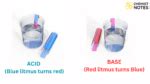 Litmus Paper Definition Chemistry Test And 4 Important Applications