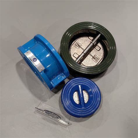 Api Din Double Disc Wafer F6 Swing Check Valve 2024 Check Valve And Din Check Valve