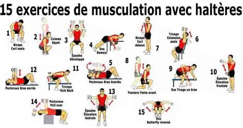 Les 10 meilleurs exercices d entraînement en musculation pour des gains