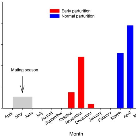 Captive Female And Neonate Crocodile Lizards Shinisaurus Crocodilurus Download Scientific