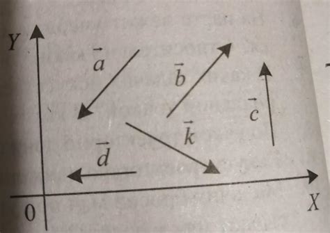 определите графически проекции векторов на оси координат какие они имеют знаки Школьные