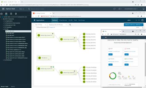 configuring nsx advanced load balancer with tanzu kubernetes grid tkg
