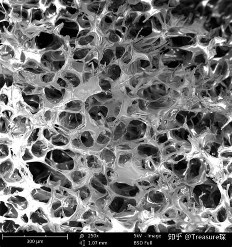 计算一个image的大小imagej实用技巧——计算孔隙率定量分析篇 Csdn博客