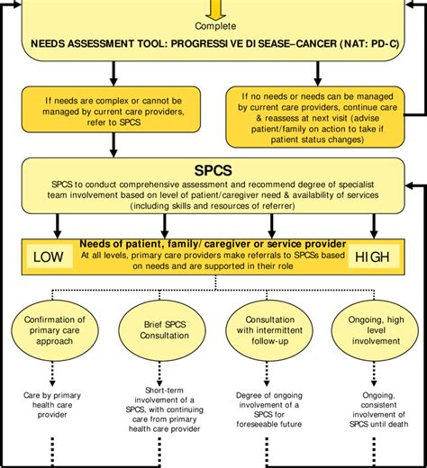 Model For Needs Based Assessment And Triage To Appropriate Level Of