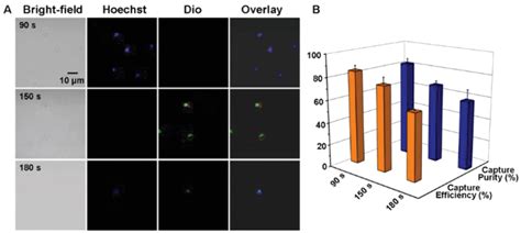 Fluorescence Images And B Capture Efficiency And Capture Purity Of