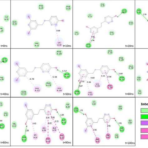 A í µí½1 42 Peptide Aggregation In The Presence Of 50 μm And 100 μm