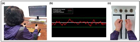 Ijerph Free Full Text Altered Bimanual Kinetic And Kinematic Motor
