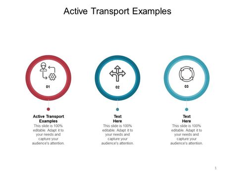 Presentation Graphics Powerpoint Ppt Presentation Example Slide