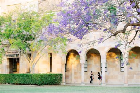 Uq A Founding Partner In New Queensland Ai Hub News The University