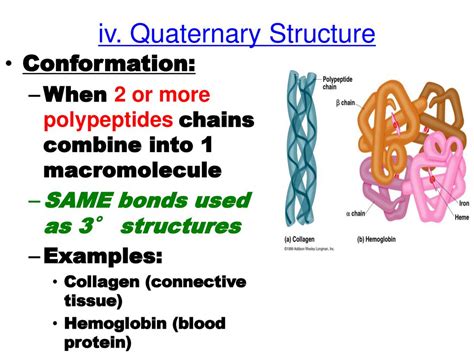 Functional Groups And Macromolecules Ppt Download