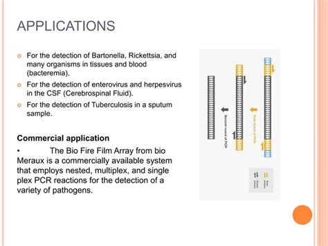 Nested Pcr PPTX Genetics Science