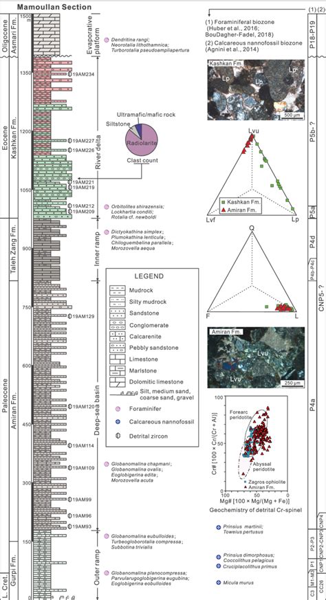 Stratigraphy Of The Mamoullan Section With Key Foraminifera And