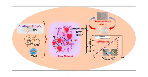 Shape Memory Behavior And Self Healing Effects Of Dynamically Vulcanized Tpuenr Thermoplastic
