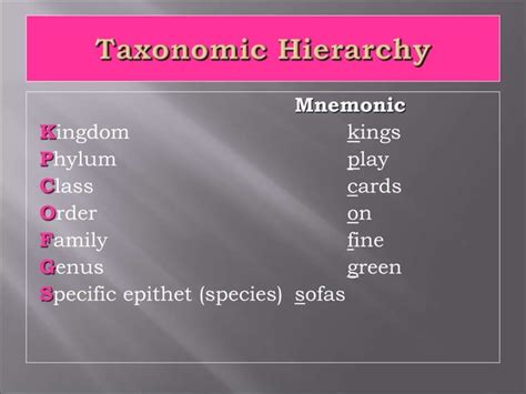 Taxonomy Classification 17 Ppt