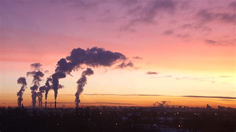 Global Unraveling The Impact Of A Carbon Price Shock On Macroeconomic Variables Bbva Research